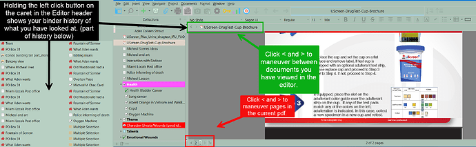 History Feature Behavior During Editor Tutorial - Scrivener for Windows ...